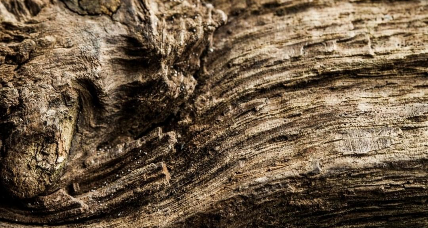 The 6 Principles of Slow Design - The New & Reclaimed Flooring Company